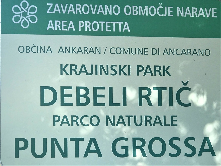 Naravoslovni dan - Krajinski park Debeli rtič | Osnovna šola in vrtec ...