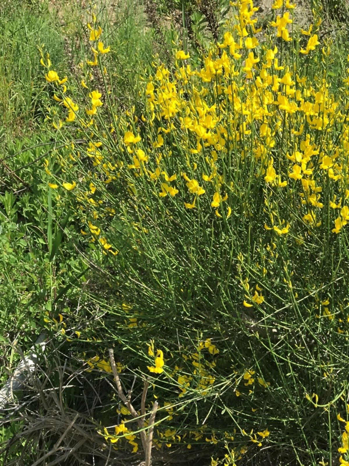 Naravoslovni dan - Krajinski park Debeli rtič | Osnovna šola in vrtec ...